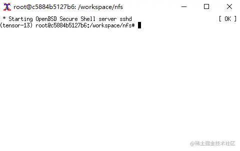 Windows Xming + Xshell 实现远程 linux gui 界面本地展示这是我参与11月更文挑战的第28 - 掘金