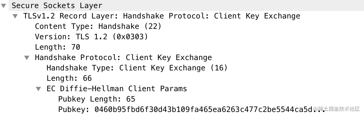 网络|使用 Wireshark 分析 TLS/SSL 协议 通过使用 Wireshark 抓取对应TLS 协议包，并进行 - 掘金