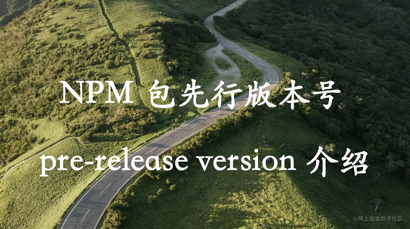 Npm 包先行版本号 Pre Release Version 介绍npm 包发布大家应该都会，npm Publish就完 掘金 