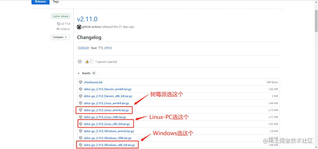 DDNS-GO: 一款轻量、好用的DDNS服务应用！说到DDNS，大家伙第一个想到的没准就是花生壳，其实花生壳提供的服务 - 掘金
