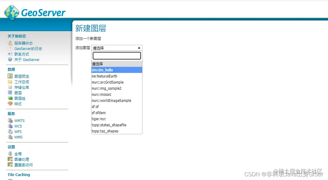 达梦数据库（DM8）集成使用 Geoserver（2.22.2） 以及其他对应版本详解项目需要国产化，选择使用达梦数据库 - 掘金
