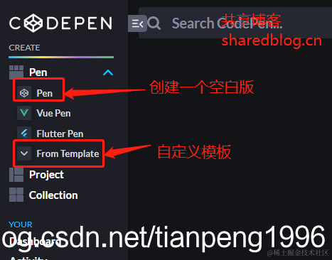 CodePen的使用教程 codepen如何存放自己的代码 codepen存放的代码如何引入到网站里 codepen引入博客页面 - 掘金