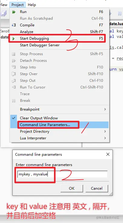 078-Lua远程调试(以Apisix,Redis为例)Lua 是一门轻量级类C高性能脚本语言，广泛用于 游戏领域，Re - 掘金