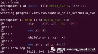ARMv9的SVE/SVE2入门教程 （2）在深入学习SVE指令之前，我们需要搭建一个能运行和调试SVE指令的实验环境。 - 掘金
