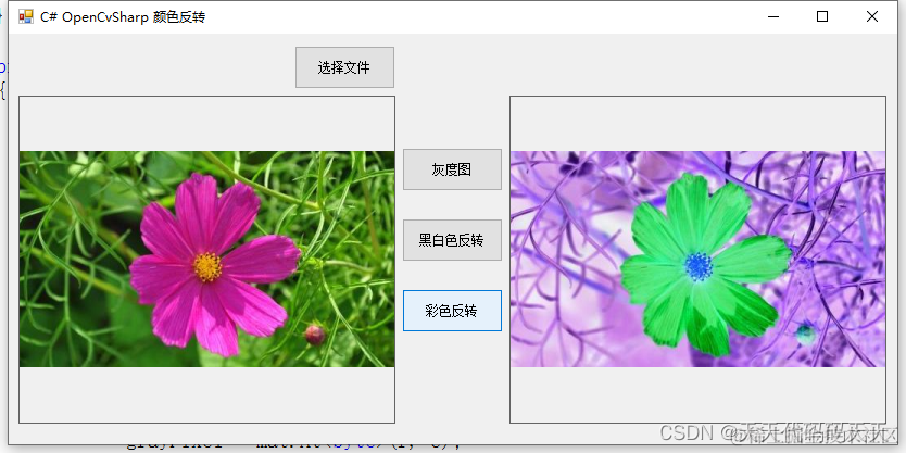C# OpenCvSharp 颜色反转 - 掘金