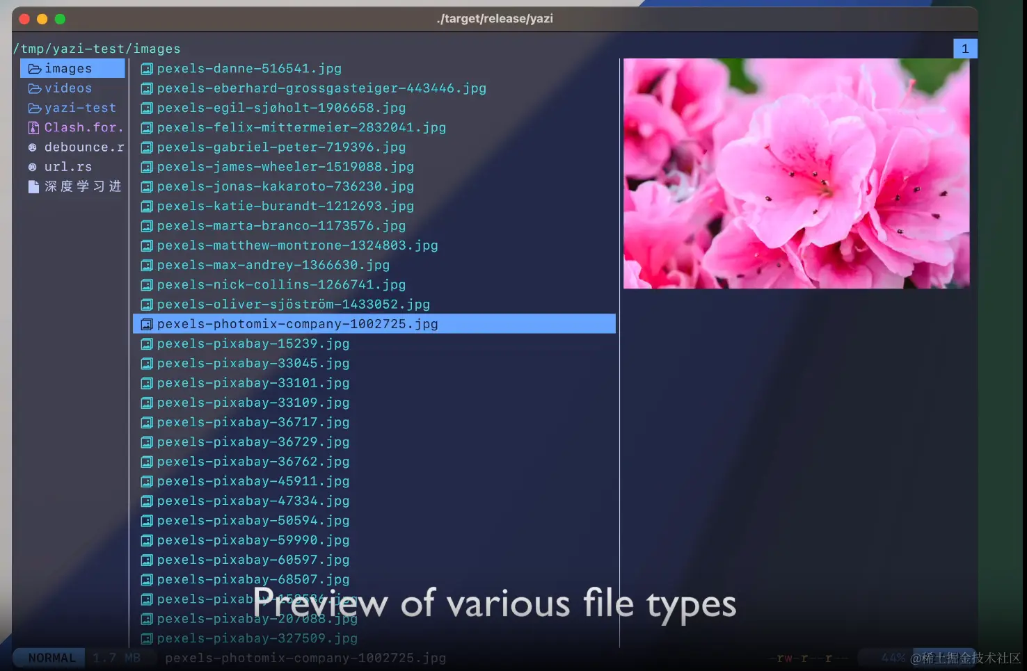 节省十倍代码，精益 Web 开发：Nue JS 的极简之道 | 开源日报 No.34lodash/lodash Star - 掘金
