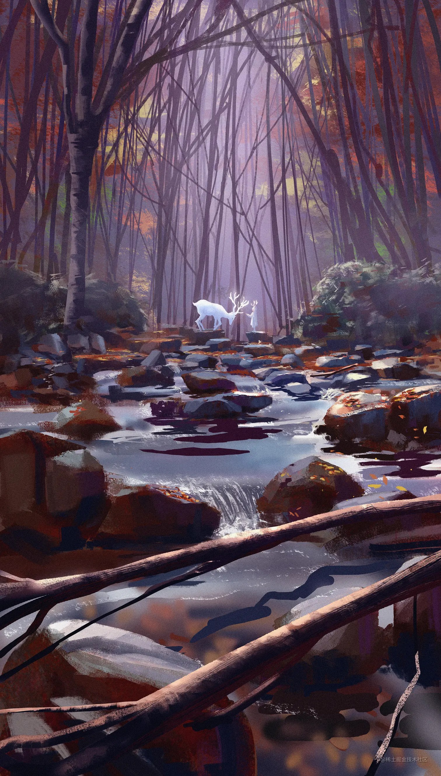 Cornerstone.js之Cornerstone在Vue中的应用Cornerstone.js之Cornerstone - 掘金