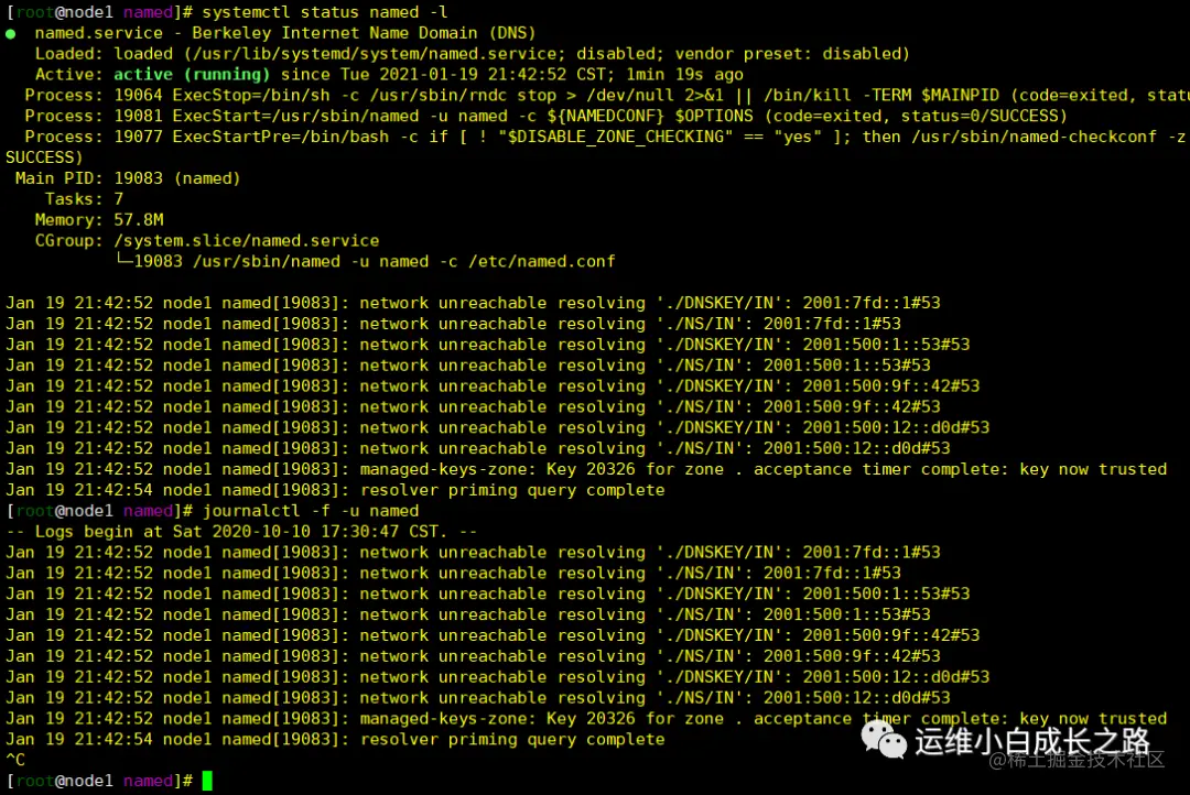 如何快速在内网搭建一个DNS服务器有时候需要在内网搭建DNS服务器，实现内网域名的解析功能，今天就来聊聊内网DNS服务器 - 掘金