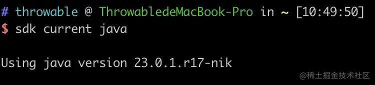 SpringBoot3.x原生镜像-Native Image实践前提 之前曾经写过一篇《SpringBoot3.x 原生 - 掘金
