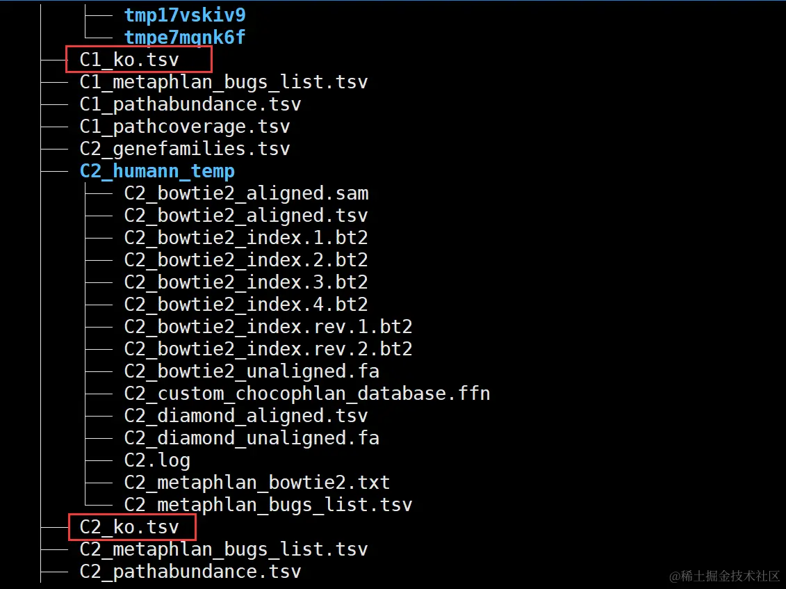易宏基因组分析流程--记录一、数据预处理 1、准备工作 1.1 查看工作目录 1.2 检查元数据文件格式 1.3 元数据 - 掘金