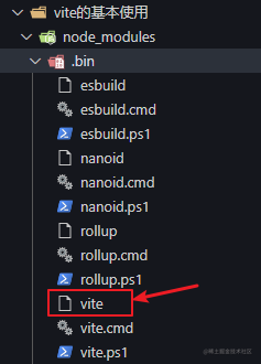 Vite 的安装和基本使用 - 掘金