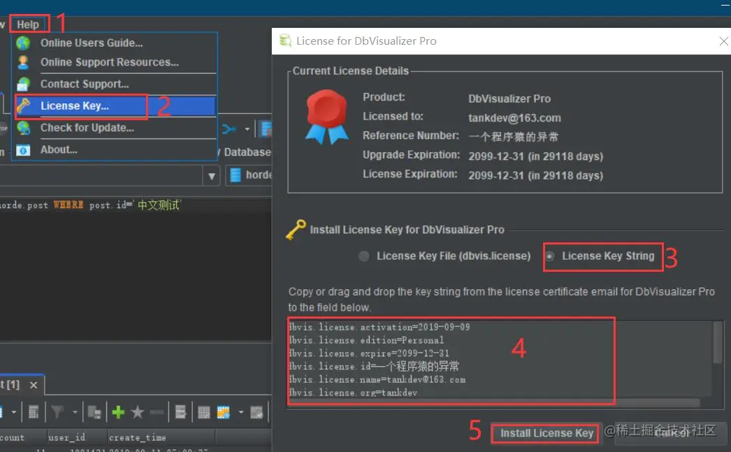 跨平台数据库管理工具 DbVisualizer11.0 深度推荐DbVisualizer 是一个完全基于 JDBC 的跨 - 掘金