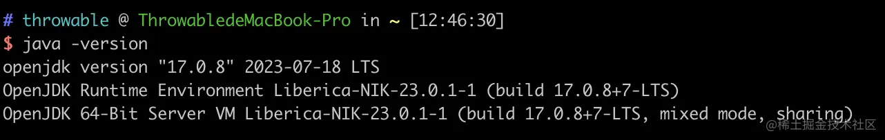 SpringBoot3.x原生镜像-Native Image实践前提 之前曾经写过一篇《SpringBoot3.x 原生 - 掘金