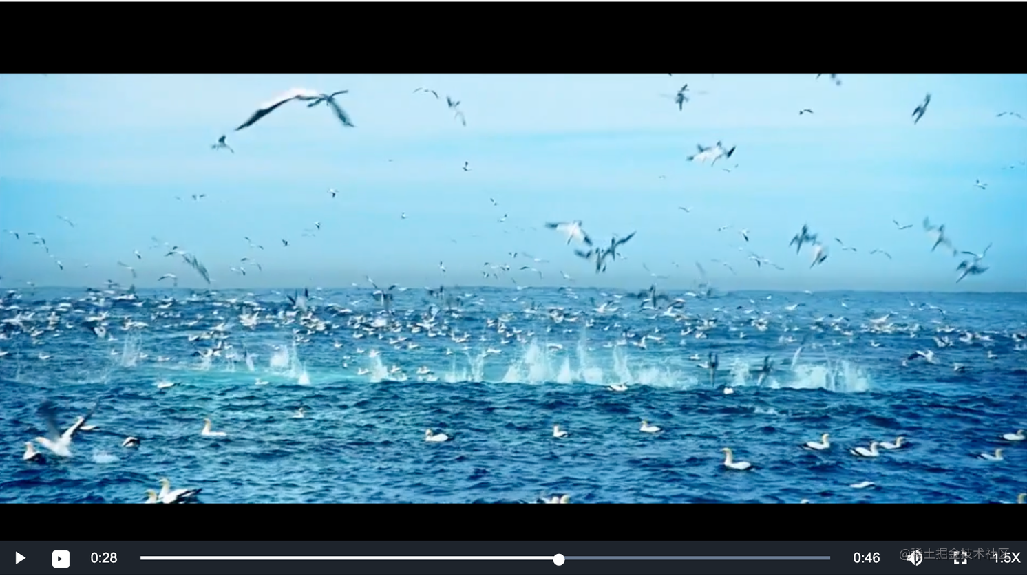 video.js -HTML5 视频播放器 - 掘金