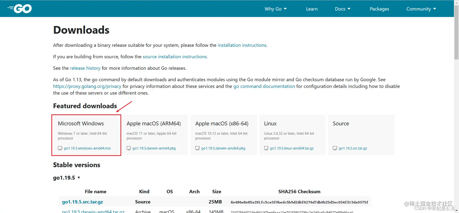 Windows下配置Golang开发环境，并安装配置GoLand IDE ｜ 青训营笔记10分钟轻松在Windows下利 - 掘金