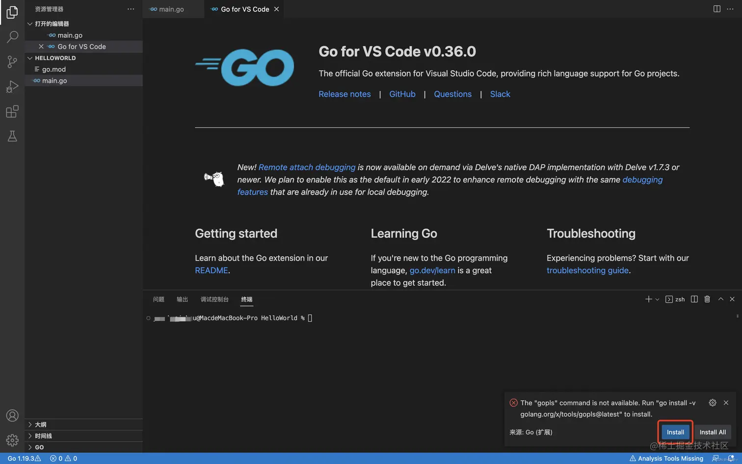第一个 Go 程序，从 Hello World 开始第一个 Go 程序，从 Hello World 开始 Vs Code 掘金
