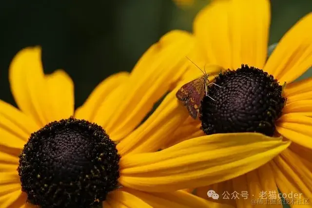 docxtpl库和Jinja2模板引擎来处理和生成Word文档生成格式统一且内容丰富的Word文档是一项非常常见的需求。 - 掘金