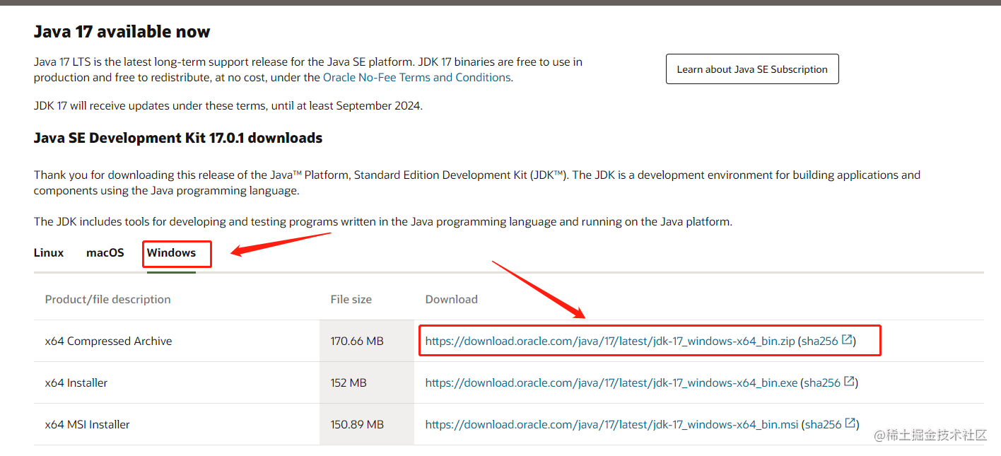 在 idea 中配置 jdk17 - 掘金