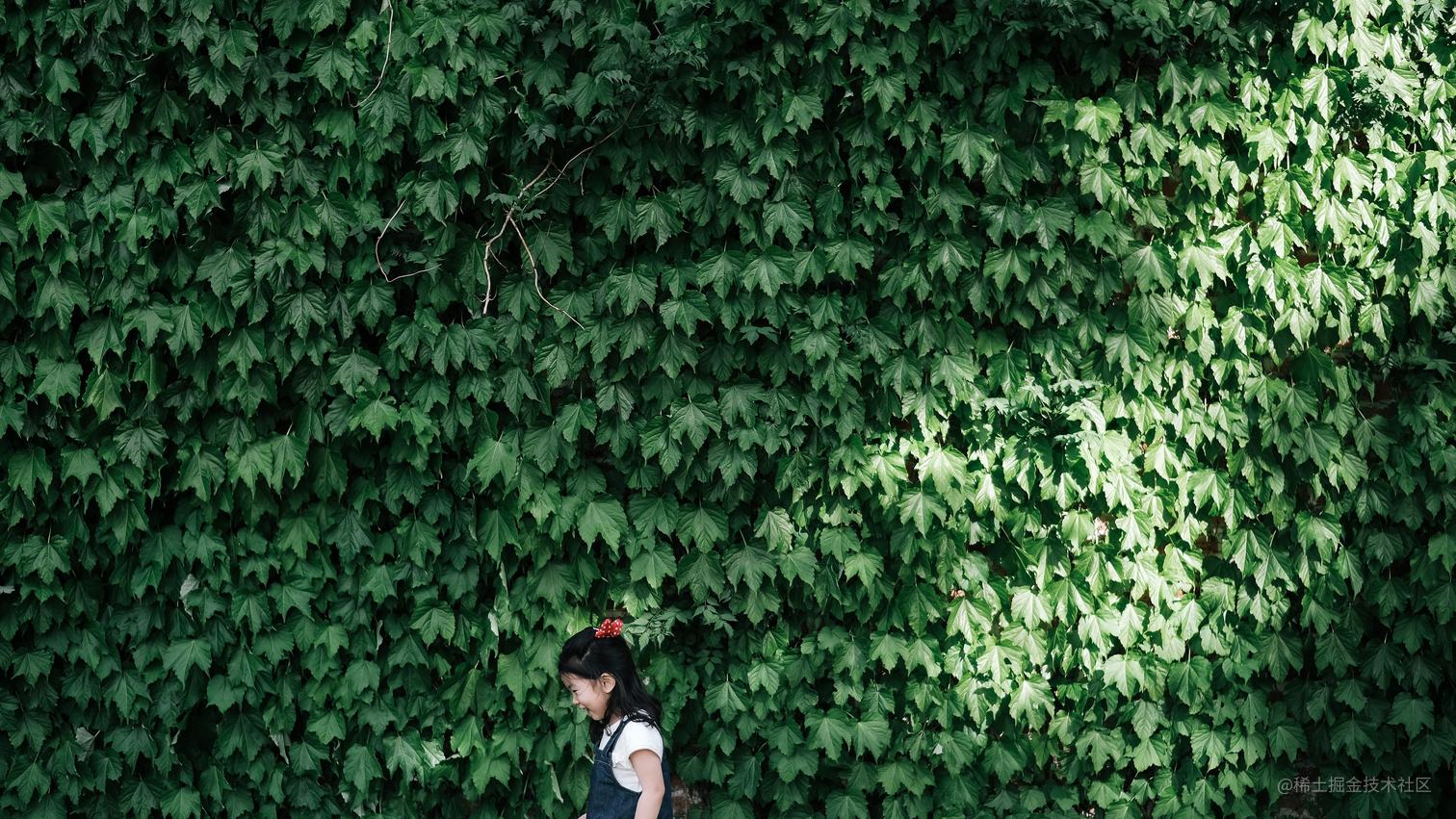 Tinykv学习营Project1入坑指南 - 掘金