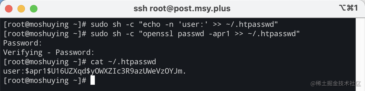 Take an in-depth look at nginx basic login authentication: Using ...