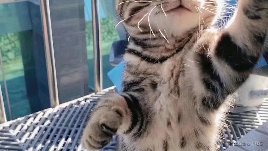 VueUse-useFetch 食用方法 - 掘金