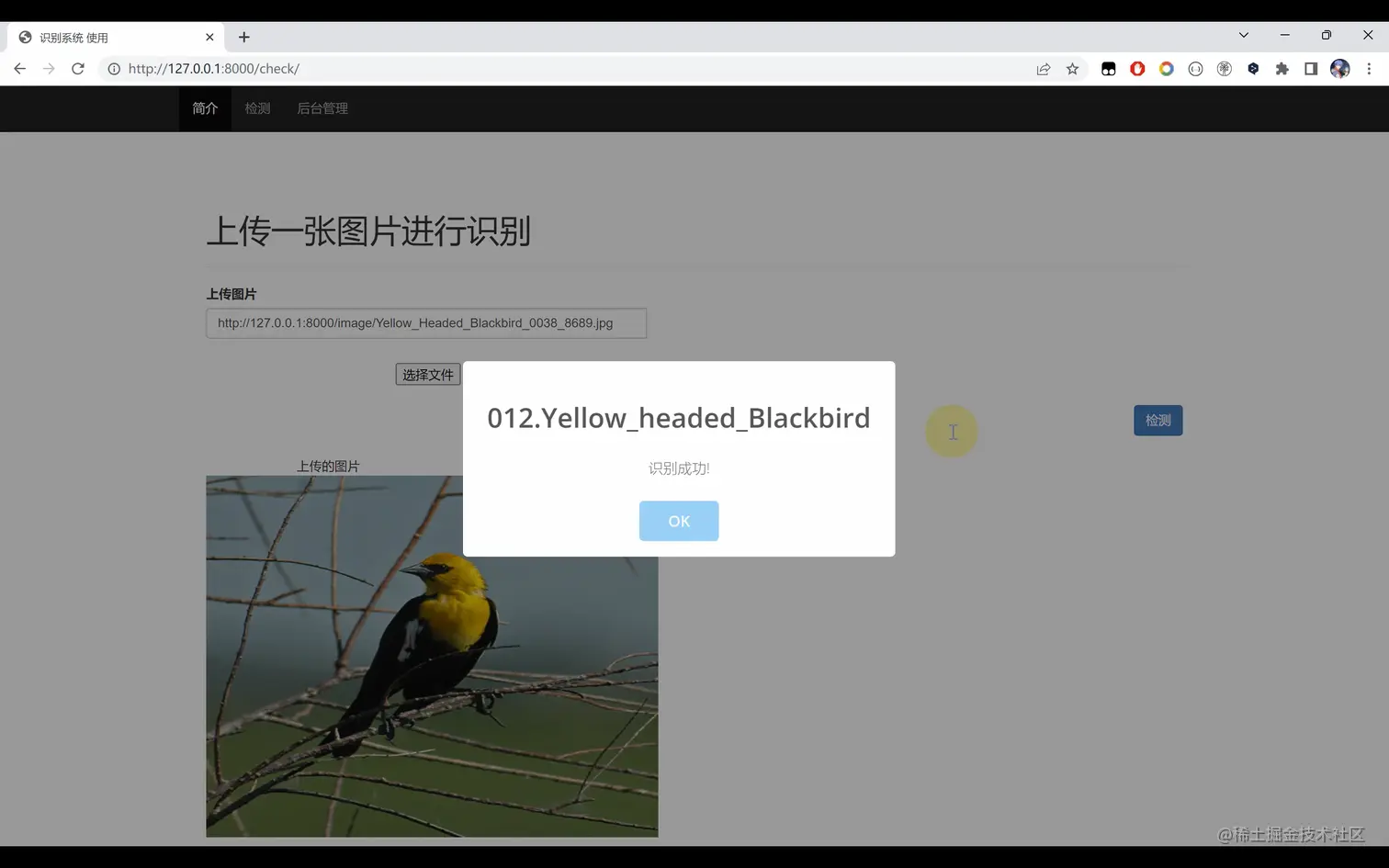 鸟类识别系统python，基于tensorflow卷积神经网络【实战项目】 一、介绍 鸟类识别系统，使用python 掘金