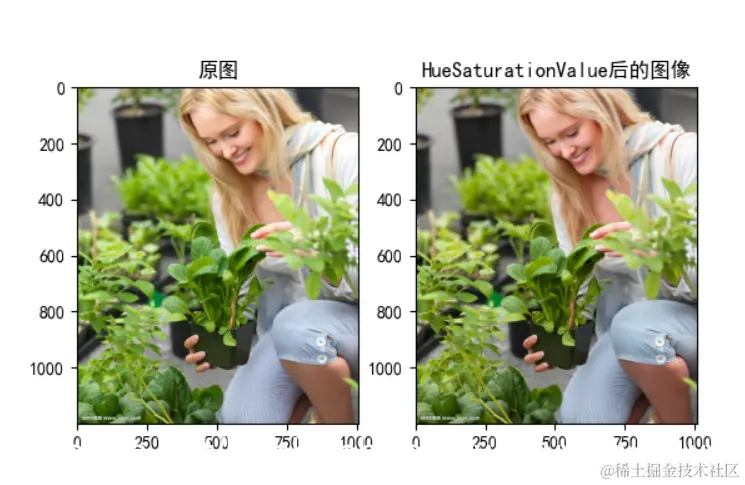 图像增强库Albumentations使用总结VerticalFlip 围绕X轴垂直翻转输入。Flip水平，垂直或水平和 - 掘金