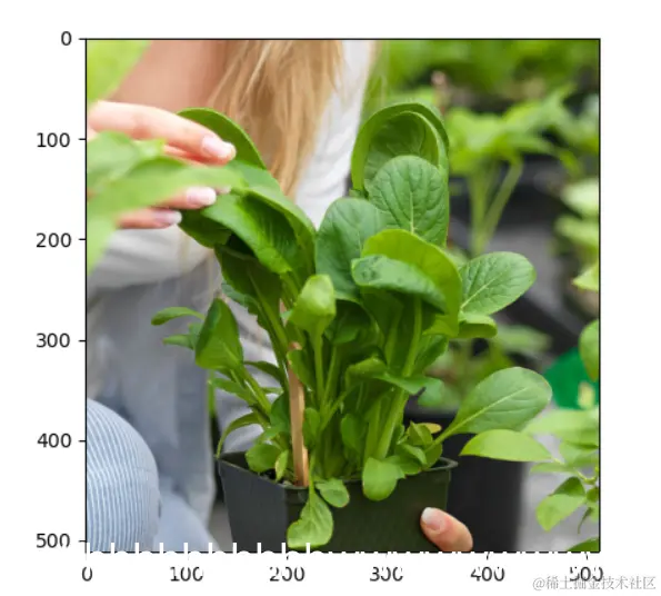 图像增强库Albumentations使用总结VerticalFlip 围绕X轴垂直翻转输入。Flip水平，垂直或水平和 - 掘金