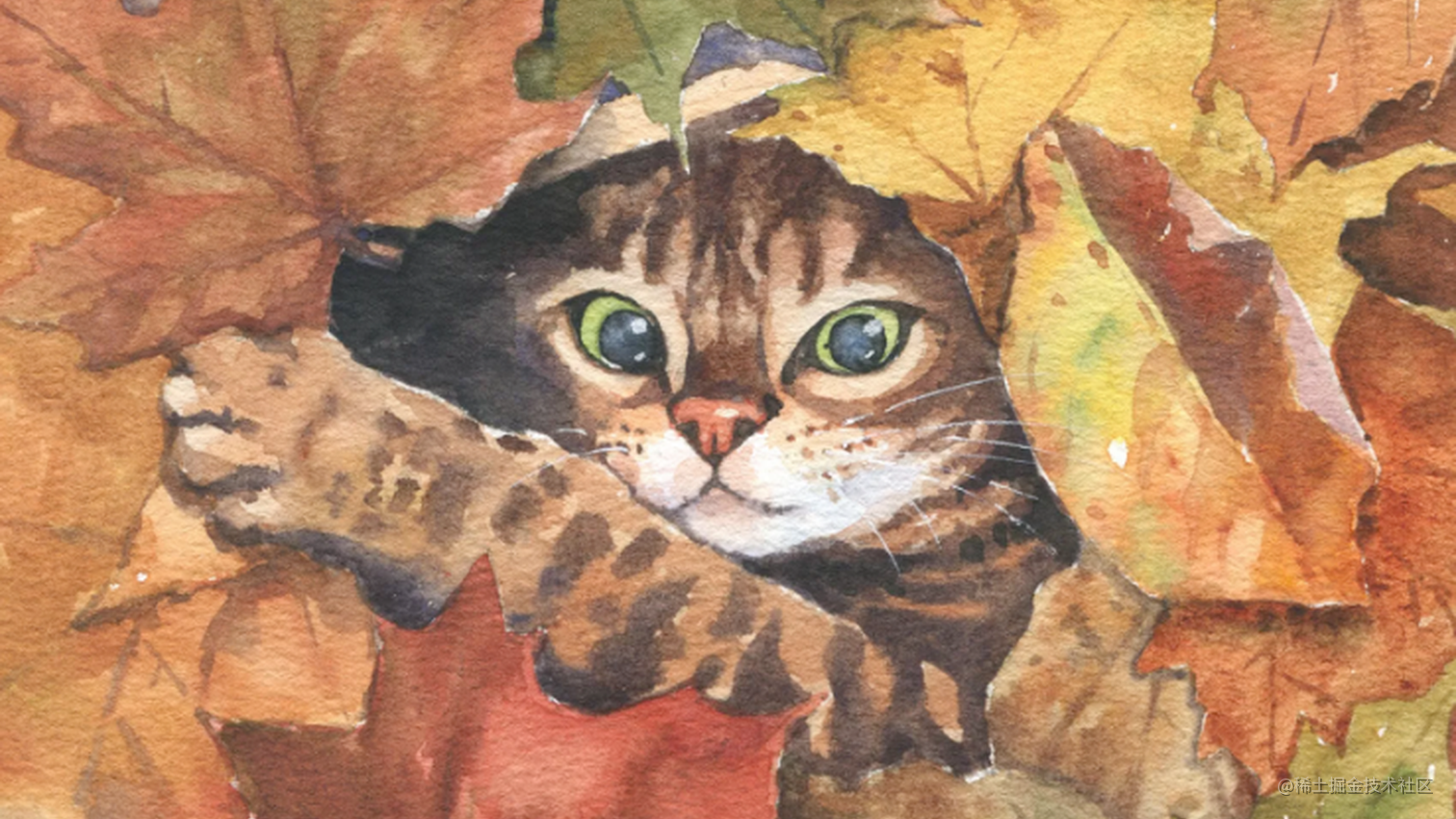 Jetpack Compose : 从改造你的登录页面开始 - 掘金