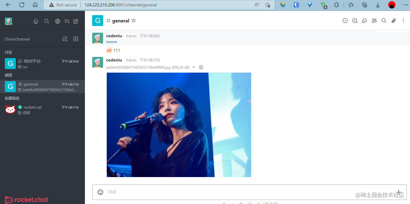 Docker 部署聊天软件（Rocket.Chat） - 掘金