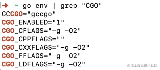 快速上手 Go CGO，掌握在 Go 里写 C！大家好，我是煎鱼。 最近因为各种奇怪的原因，接触到了 Go 特色之一 C - 掘金