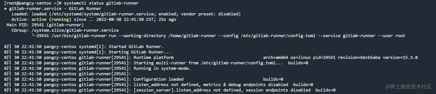 CI/CD 之 gitlab-runner 部署与踩坑 - 掘金
