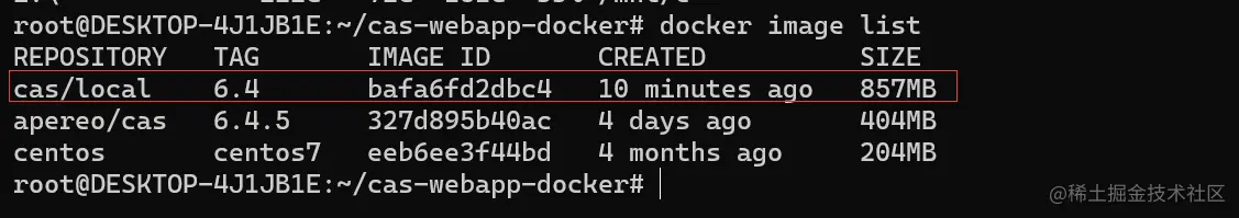 CAS Docker部署1. CAS Docker镜像拉取 Docker进行拉取有两种方式： 直接用命令拉取 通过Doc - 掘金