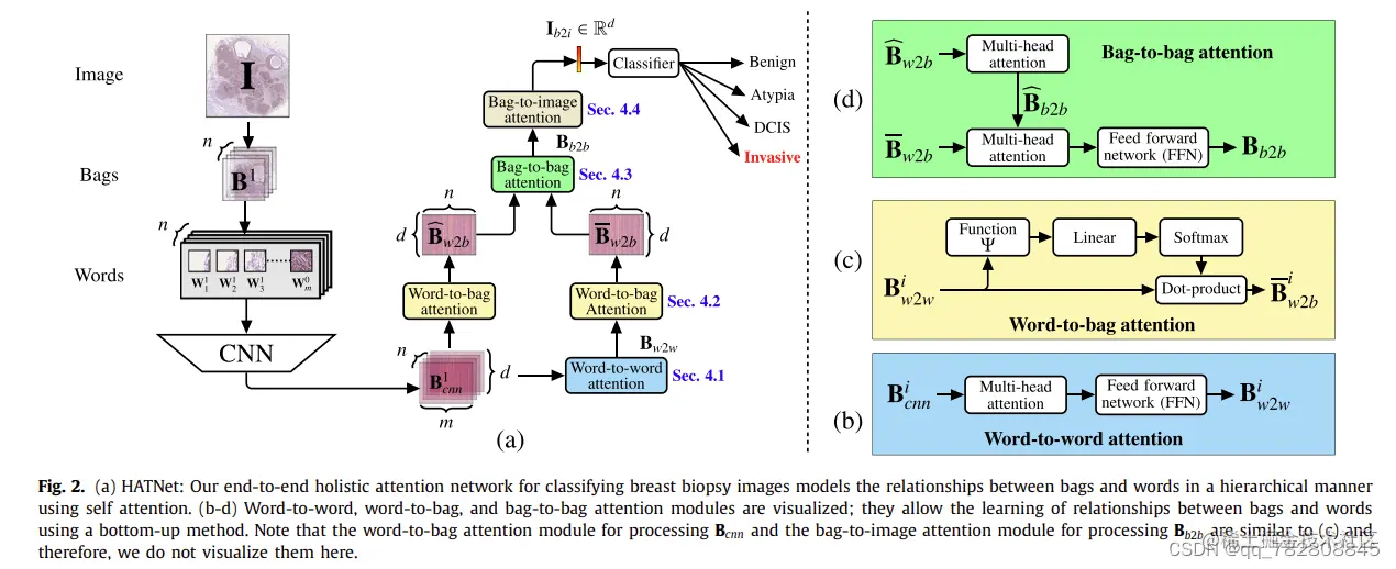 （WSI分类）WSI分类文献小综述本文已参与「新人创作礼」活动，一起开启掘金创作之路。 今天介绍一些WSI分类的文献。涉 - 掘金