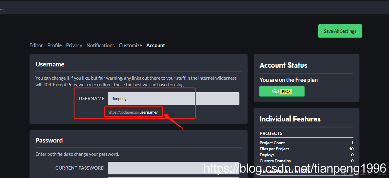 CodePen的使用教程 codepen如何存放自己的代码 codepen存放的代码如何引入到网站里 codepen引入博客页面 - 掘金