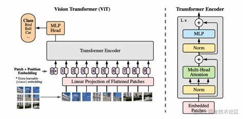 从零来实现一个 ViT(1)— patch embedding - 掘金