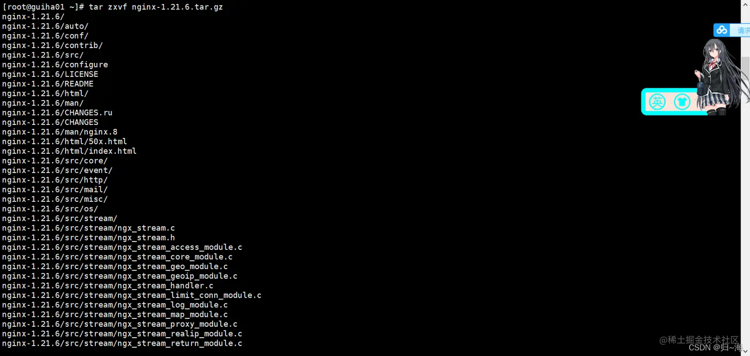 【Nginx】彻底卸载Nginx以及安装Nginx的详细教程 今天尚硅谷出了新版的Nginx教程，感觉之前的教程有点浅 - 掘金