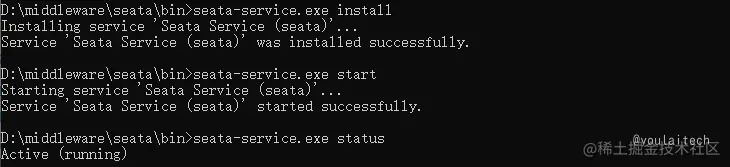 Windows 安装 Seata 1.6.1 并配置开机自启在 Windows 系统上安装 Seata 1.6.1 并配 - 掘金