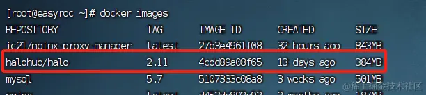 Halo详细安装教程halo详细安装教程，Nginx proxy manager Internal Error报错解决； - 掘金