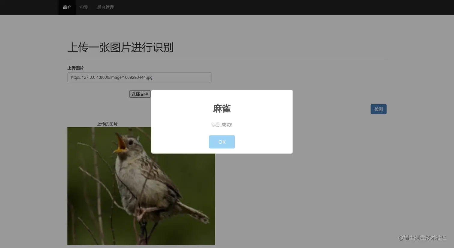 鸟类识别系统pythontensorflowdjango网页界面卷积网络算法深度学习模型一、介绍 鸟类识别系统， 掘金
