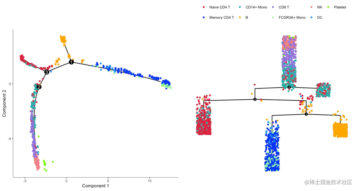 SC| monocle2 # 拟时序分析就是差异分析的细节剖析 # 单细胞之轨迹分析-2：monocle2 原理解读+实 - 掘金