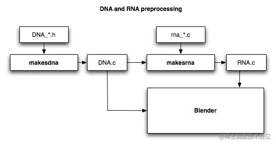 Blender 中的 DNA/RNA 结构及其极致的向后兼容性持续创作，加速成长！这是我参与「掘金日新计划 · 10 月 - 掘金