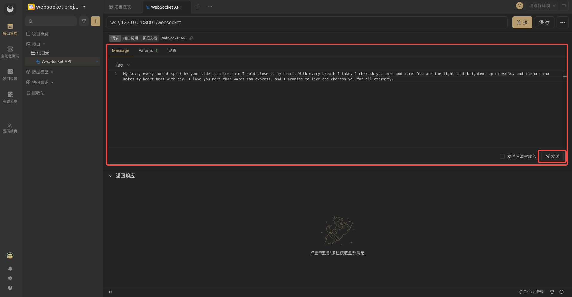 Websocket Connection Failed 如何解决