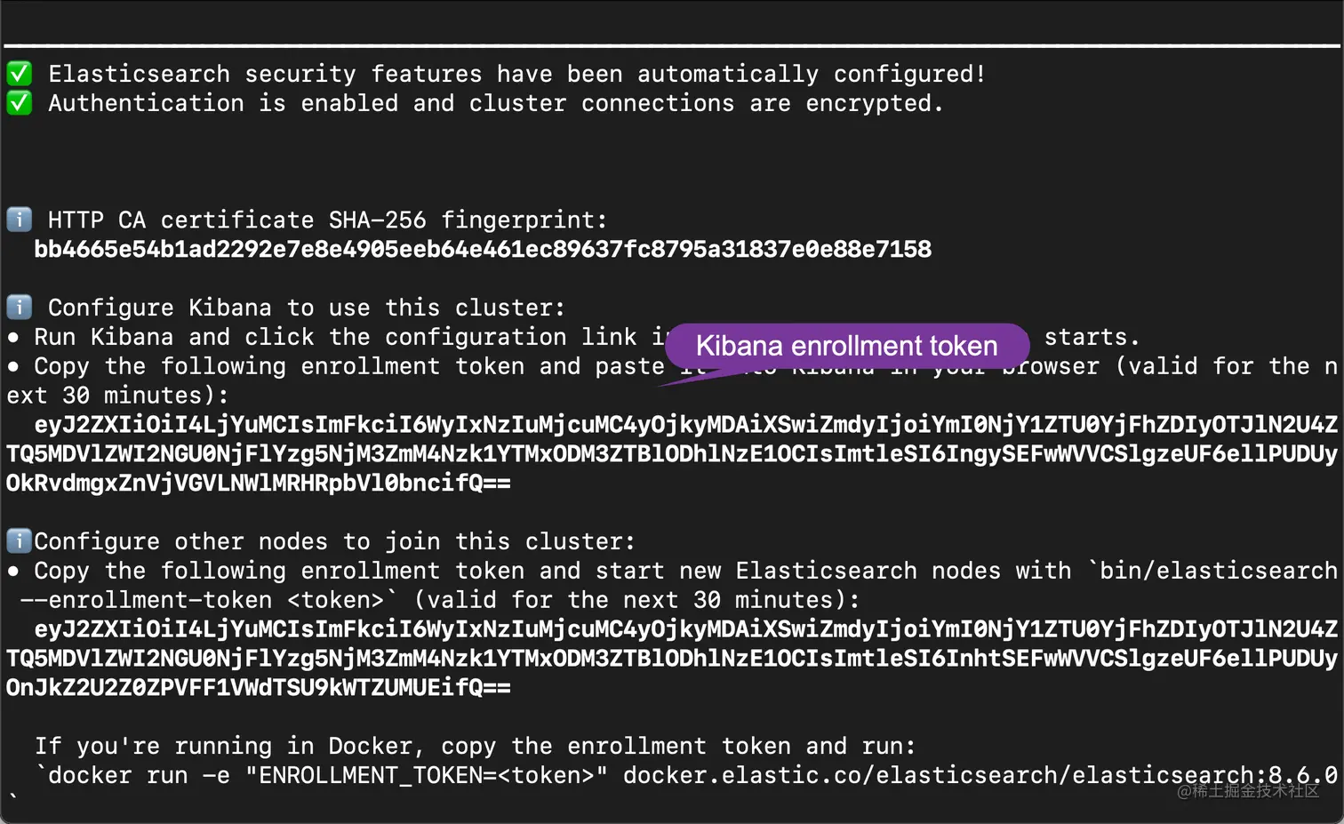 Elasticsearch：如何在 Docker 上运行 Elasticsearch 8.x 进行本地开发对于 Elas - 掘金