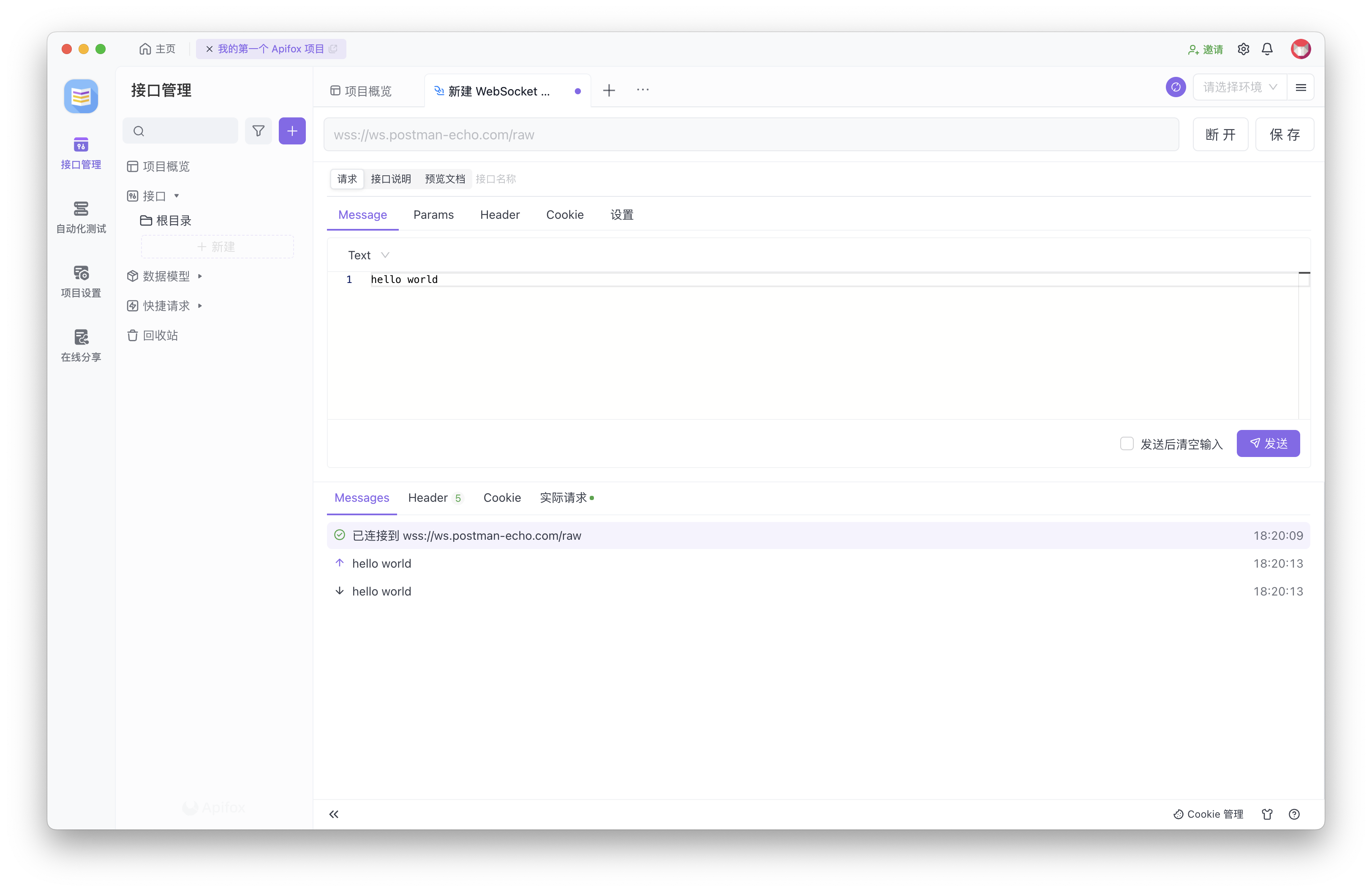 如何使用 Postman 调试 WebSocket 接口