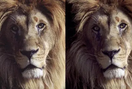 神器级AE/PR/OFX插件BCC 2024版本，一套插件轻松搞定视觉特效和转场版本支持 AE/PR/OFX 资源链接 - 掘金