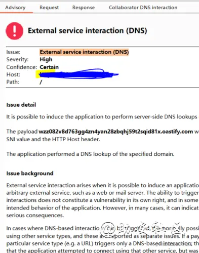 关于External service interaction (DNS)漏洞的思考本文侧重点是个人查阅国内、外相关资料后 - 掘金